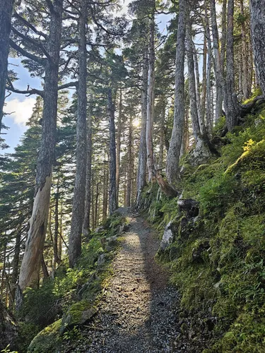 2023 Best Backpacking Trails in Sitka | AllTrails