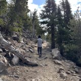 Mount Scott Trail, Oregon - 1,277 Reviews, Map | AllTrails