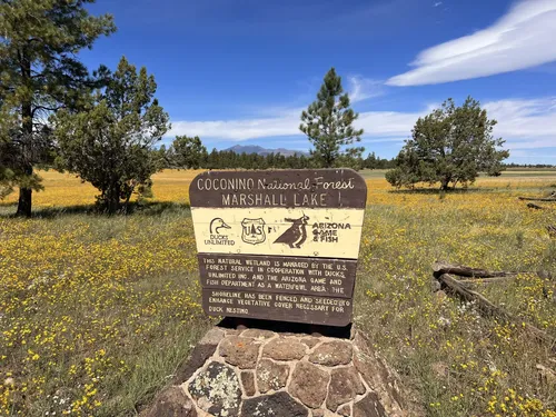 Best Camping Trails in Mormon Lake | AllTrails