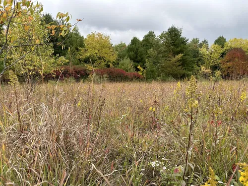 Best Hikes and Trails in Kickapoo Valley Reserve | AllTrails