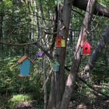 Mer Bleue Conservation Area Loop, Ontario, Canada - 893 Reviews, Map ...