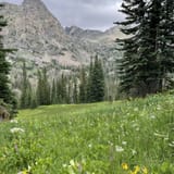 Gilpin Lake Trail, Colorado - 566 Reviews, Map | AllTrails