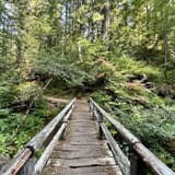 Silver Falls Loop, Washington - 2,785 Reviews, Map | AllTrails