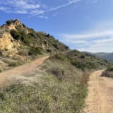Trippet Ranch to Eagle Springs Loop Trail, California - 791 Reviews ...