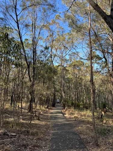 Best Hikes and Trails in 7th Brigade Park | AllTrails