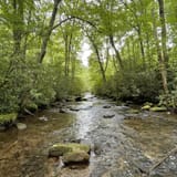 The Boogerman Trail, North Carolina - 494 Reviews, Map | AllTrails