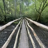 The Boogerman Trail, North Carolina - 494 Reviews, Map | AllTrails