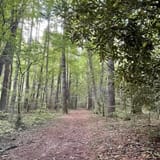 The Boogerman Trail, North Carolina - 494 Reviews, Map | AllTrails