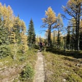 Pedley Pass and Pedley Ridge, British Columbia, Canada - 259 Reviews ...