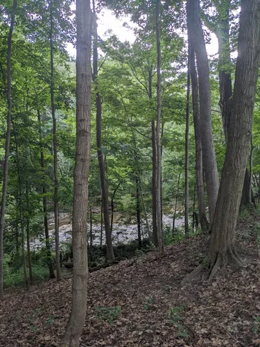 Best Hikes and Trails in Union Springs | AllTrails