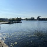 Foster Island Trail, Washington - 696 Reviews, Map | AllTrails