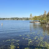 Foster Island Trail, Washington - 696 Reviews, Map | AllTrails