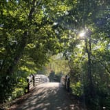 Foster Island Trail, Washington - 696 Reviews, Map | AllTrails