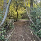 Foster Island Trail, Washington - 696 Reviews, Map | AllTrails