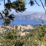 Mount Scott Trail, Oregon - 1,277 Reviews, Map | AllTrails