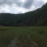 Elkhorn Lake, Virginia - 24 Reviews, Map | AllTrails