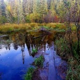 Angleworm Lake Trail, Minnesota - 108 Reviews, Map | AllTrails