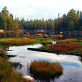 Angleworm Lake Trail, Minnesota - 108 Reviews, Map | AllTrails
