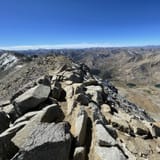 Mount Massive Trail, Colorado - 1,090 Reviews, Map | AllTrails