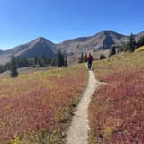 Scarp Ridge Trail to 421 Trail Loop, Colorado - 1,031 Reviews, Map ...