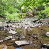 Bear Creek Outcroppings Trail, Mississippi - 632 Reviews, Map | AllTrails