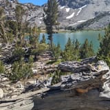 Barney Lake Trail, California - 1,082 Reviews, Map | AllTrails