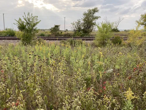 Best Hikes and Trails in Kaposia Park | AllTrails