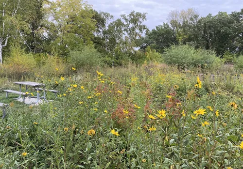 Best Hikes and Trails in Kaposia Park | AllTrails