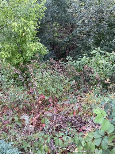 Best Hikes and Trails in Kaposia Park | AllTrails