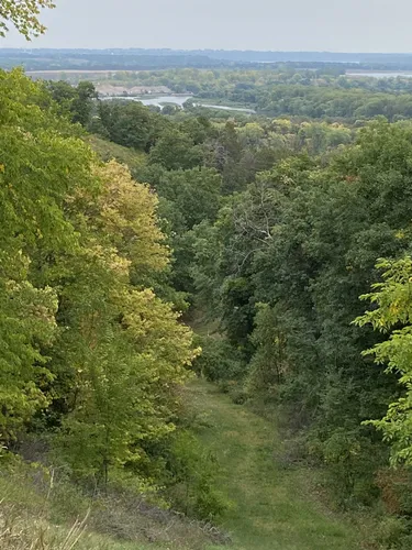 Best Hikes and Trails in Kaposia Park | AllTrails