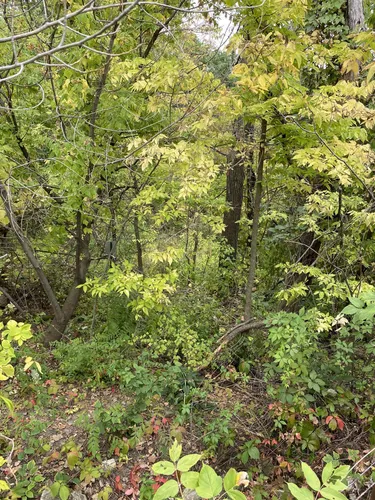 Best Hikes and Trails in Kaposia Park | AllTrails