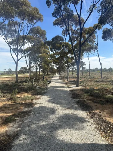 Best Hikes and Trails in Lake Charm | AllTrails