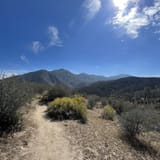 Seven Tea Cups (7TC) via Dry Creek Meadow, California - 229 Reviews ...