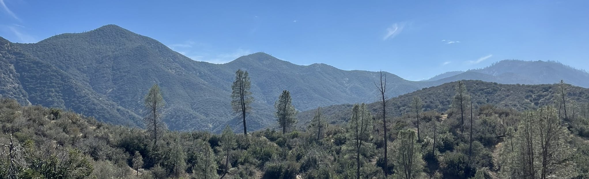 Seven Tea Cups (7TC) via Dry Creek Meadow, California - 219 Reviews ...