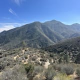 Seven Tea Cups (7TC) via Dry Creek Meadow, California - 229 Reviews ...