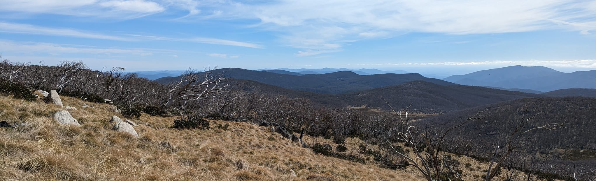 Mount Gingera Walking Track, New South Wales, Australia - 134 Reviews ...