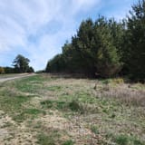 The Magic Forest from Stanley, Victoria, Australia - 24 Reviews, Map ...