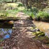 The Magic Forest from Stanley, Victoria, Australia - 24 Reviews, Map ...