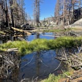 Lake Margaret Trail, California - 1,039 Reviews, Map | AllTrails