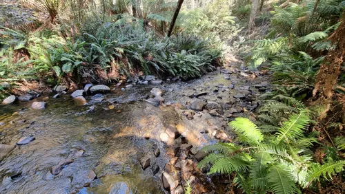 Best Hikes and Trails in Dial Range Regional Reserve | AllTrails