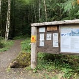 Goat Lake Trail, Washington - 1,861 Reviews, Map | AllTrails