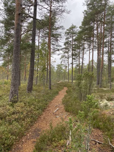 Best Camping Trails in Teijo National Park | AllTrails