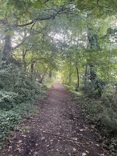 2023 Best 10 Historic Site Trails in Strangford and Lecale Area of ...