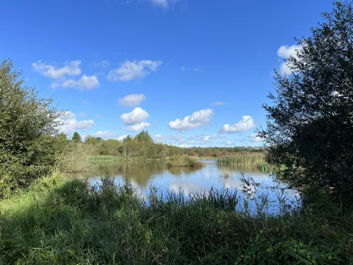 Best Hikes and Trails in Nutfield Marsh Nature Reserve | AllTrails