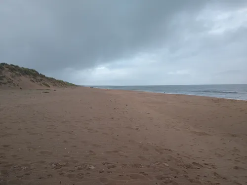 Best Hikes and Trails in Balmedie Country Park | AllTrails