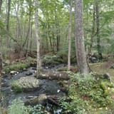 Fort Barton/Sin and Flesh Brook Trail, Rhode Island - 1,209 Reviews ...