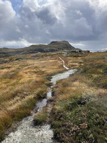 2023 Best Lake Trails in Nedstrand | AllTrails