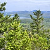Wheeler Mountain Trail, Vermont - 408 Reviews, Map | AllTrails