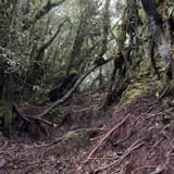 Gunung Yong Belar, Kelantan, Malaysia - 76 Reviews, Map | AllTrails