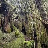 Gunung Yong Belar, Kelantan, Malaysia - 76 Reviews, Map | AllTrails